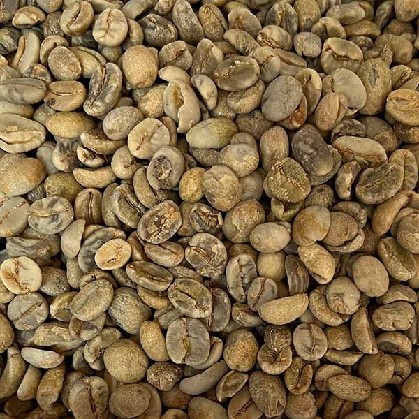 Coffee Beans Roasted LOGs