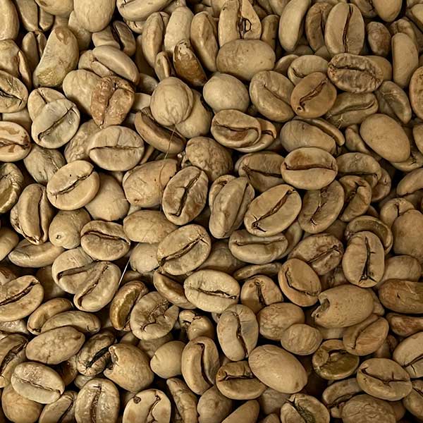 Coffee Beans Roasted LOGs