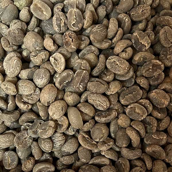 Coffee Beans Roasted LOGs