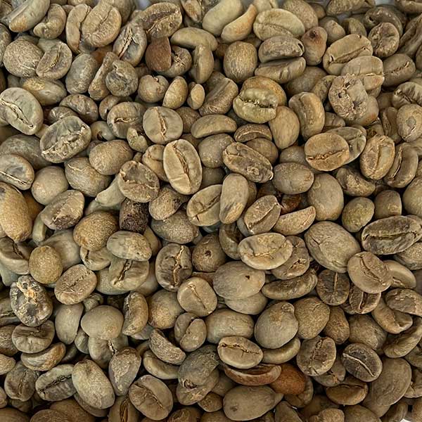 Coffee Beans Roasted LOGs